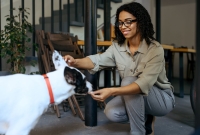 Neo Cloud Based Veterinary Software | IDEXX Veterinary Software