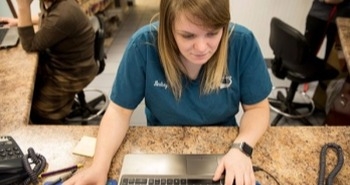 Cornerstone Online Payments | IDEXX Software