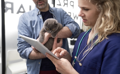 Why Client Education Is The Key to Veterinary Practice Growth | IDEXX ...