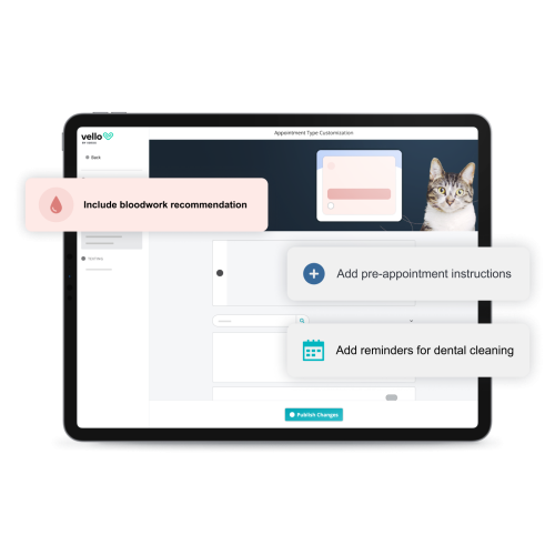Vello Client Engagement Platform | IDEXX Veterinary Software