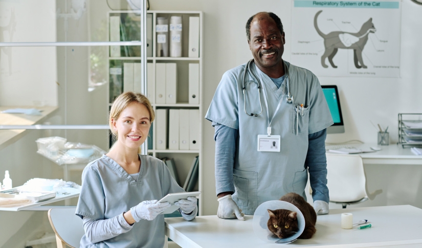 How Cloud-Based Software Can Lead to Better Patient Care | IDEXX Software