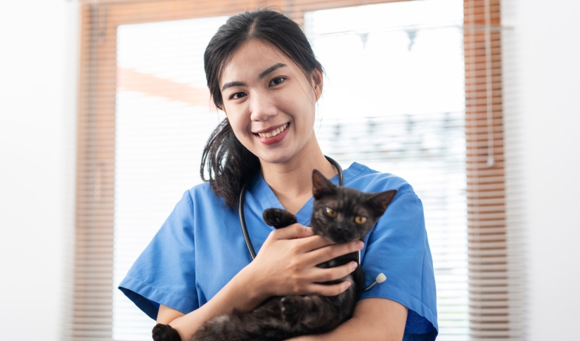 Neo Cloud Based Veterinary Software | IDEXX Veterinary Software