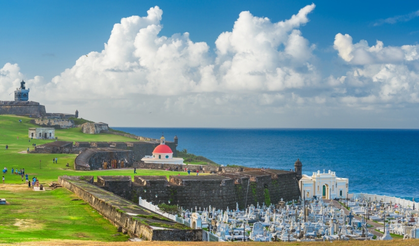 Resources | IDEXX Software