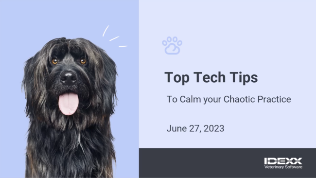 Cloud Based Veterinary Practice Software | IDEXX Veterinary Software